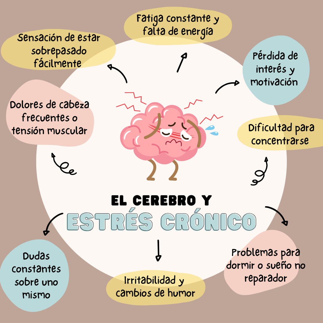 Estrés Crónico y el Cerebro: Síntomas, Efectos y Cómo Revertirlos